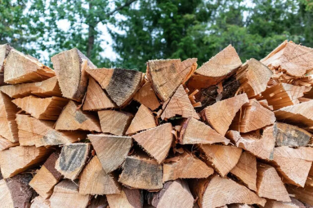 Gỗ Maple là gì? Có tốt không? Có đặc điểm gì? | Furaka