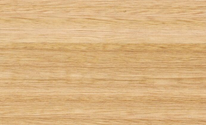 Gỗ bạch đàn có tốt không? Ưu nhược điểm của gỗ bạch đàn